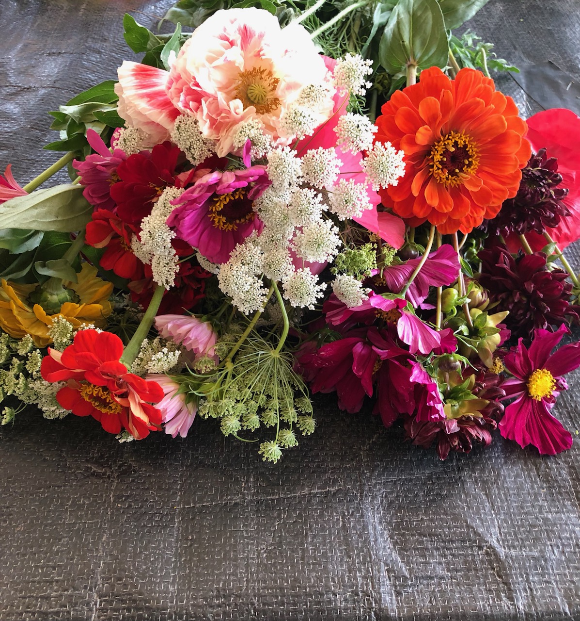 Fresh Flower U Pick – Billyco Junction Gardens