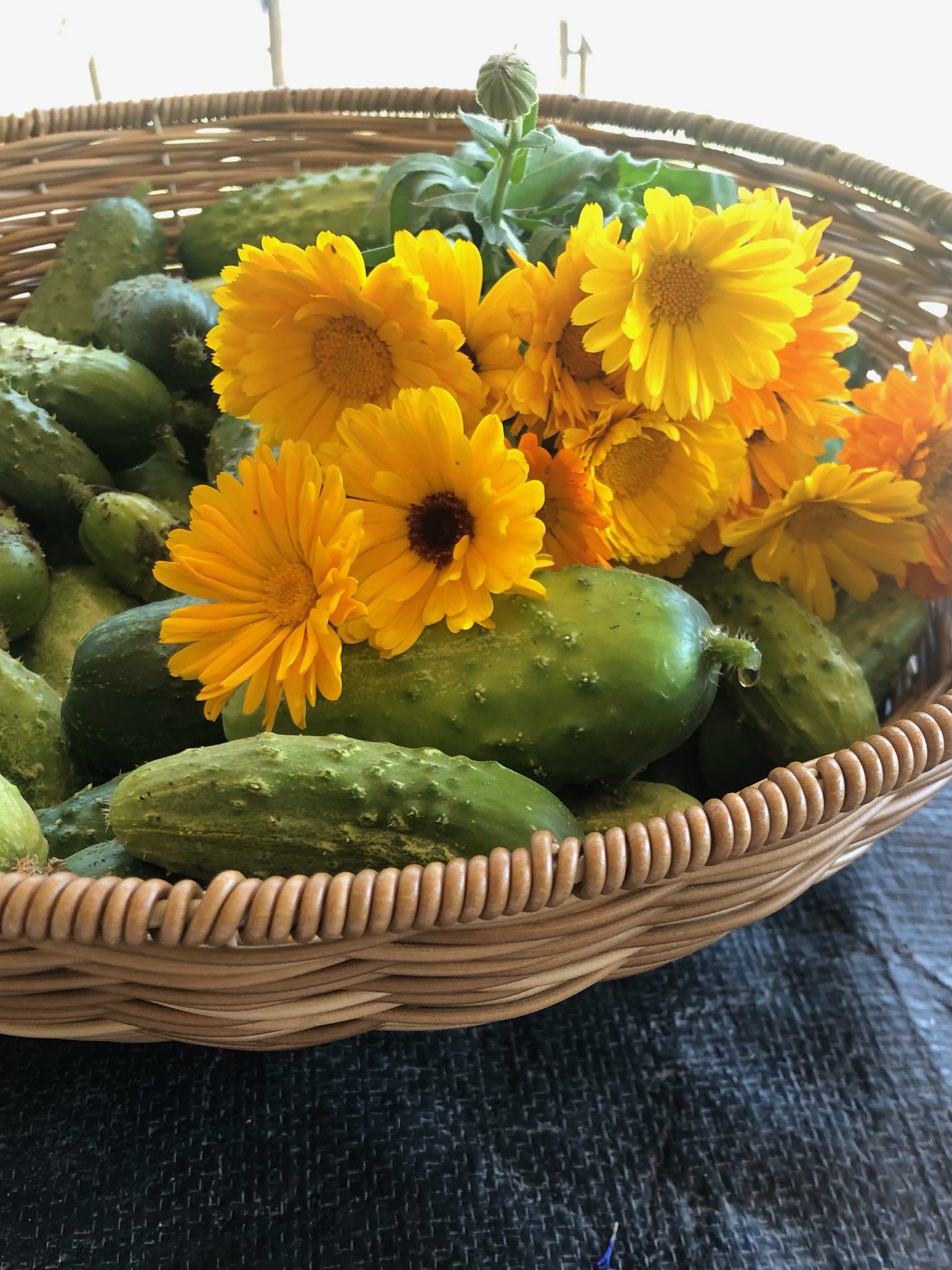 Fresh Flower U Pick – Billyco Junction Gardens